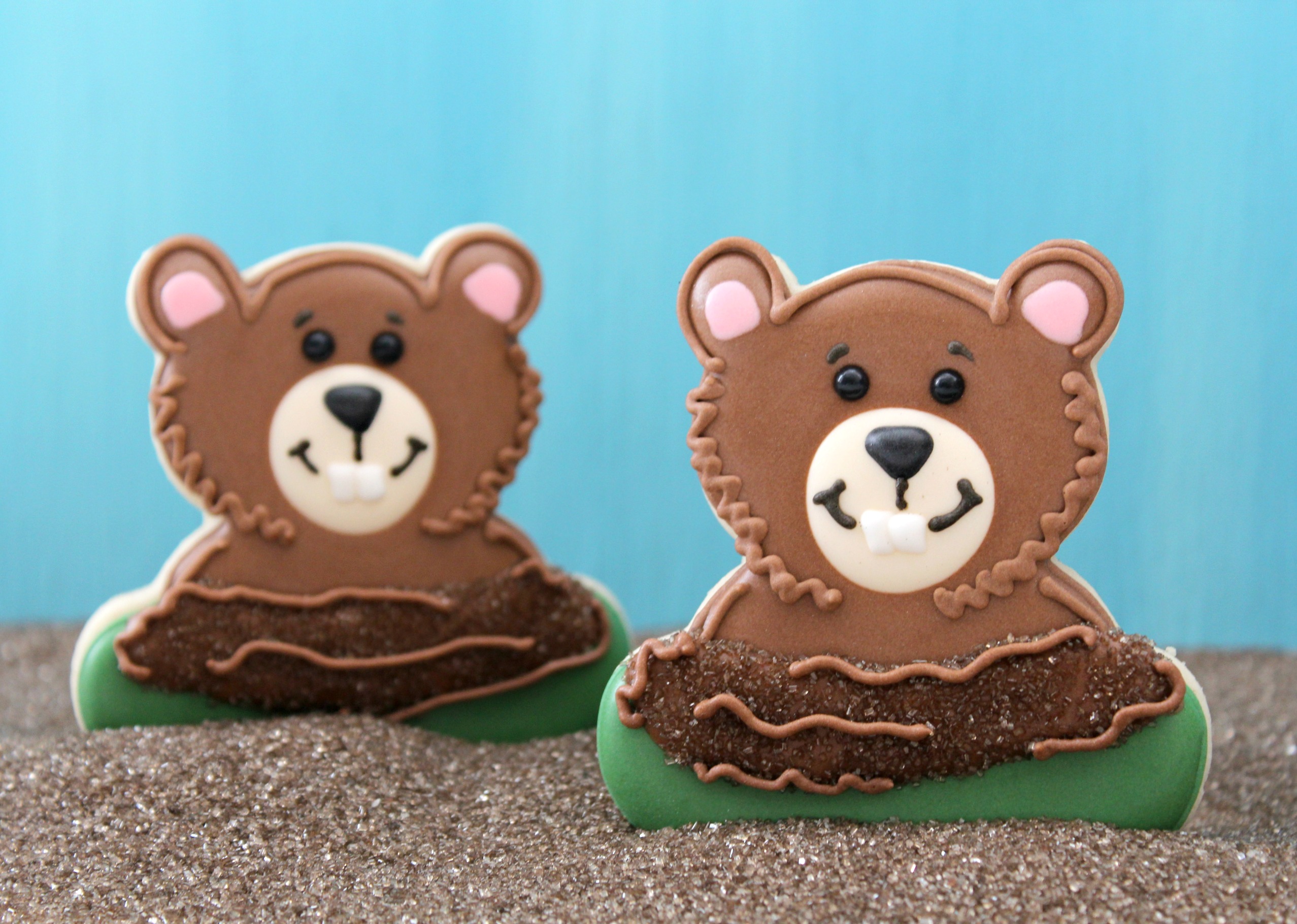 Peeping Groundhog Cookies The Sweet Adventures Of Sugar Belle