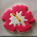 Decorated Hibiscus Cookies - The Sweet Adventures of Sugar Belle